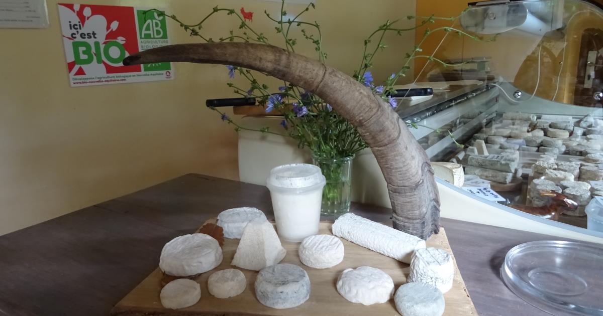 SCEA Ferme Albert - Deux-Sèvres Tourisme