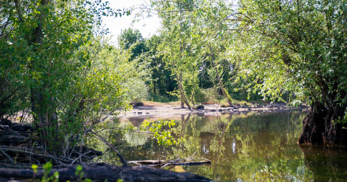 Randonnée de Saint-Loup-Lamairé- Le Lac du Cébron - Deux-Sèvres Tourisme