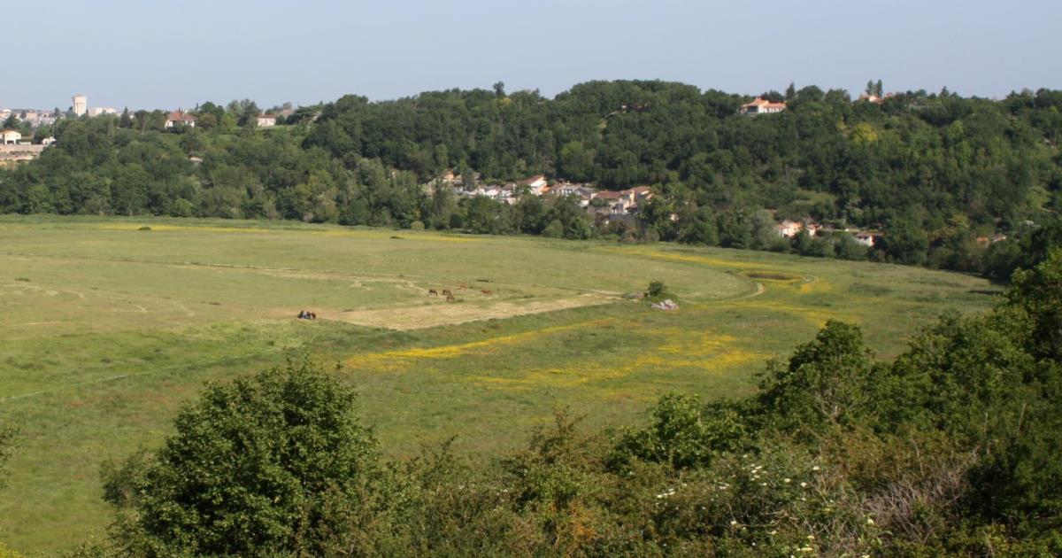 Le coteau et la prairie du Châtelier - Deux-Sèvres Tourisme