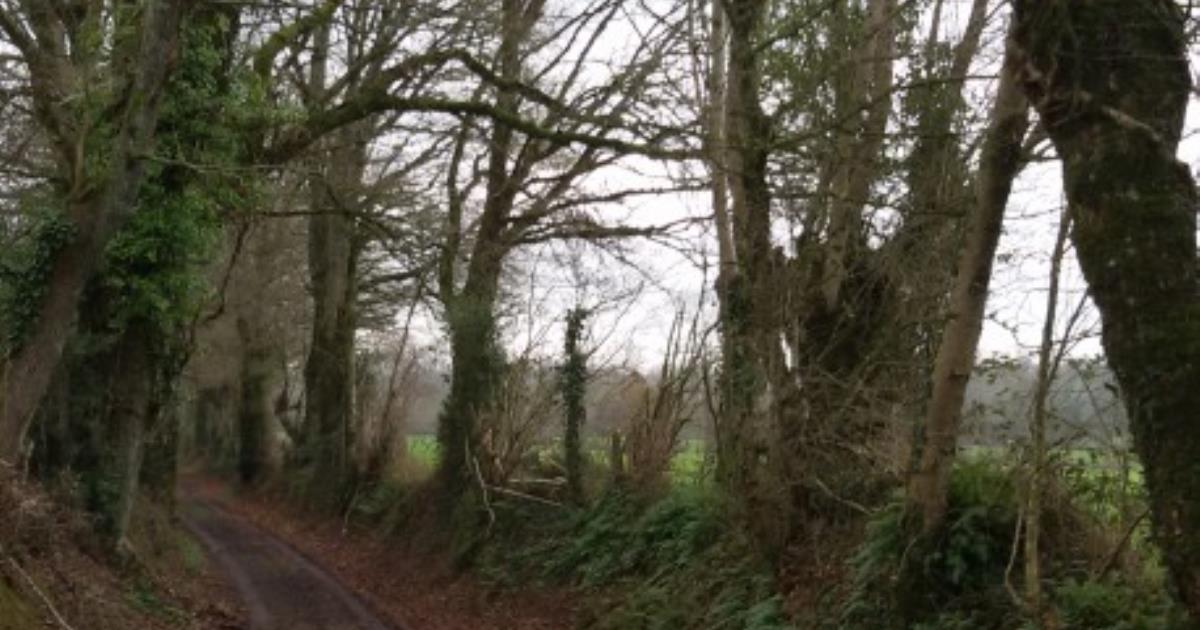 Le Tallud - La Gâtine du tallud à St-Pardoux - Deux-Sèvres Tourisme